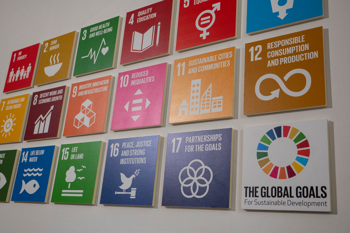 SDG Boards Wall Decoration – SDG Action Shop